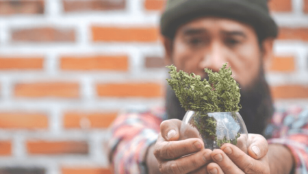 T-Break: Take a Cannabis Tolerance Break | Canna Clinic